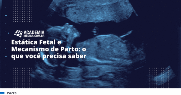 Estática Fetal e Mecanismo de Parto: o que você precisa saber ...