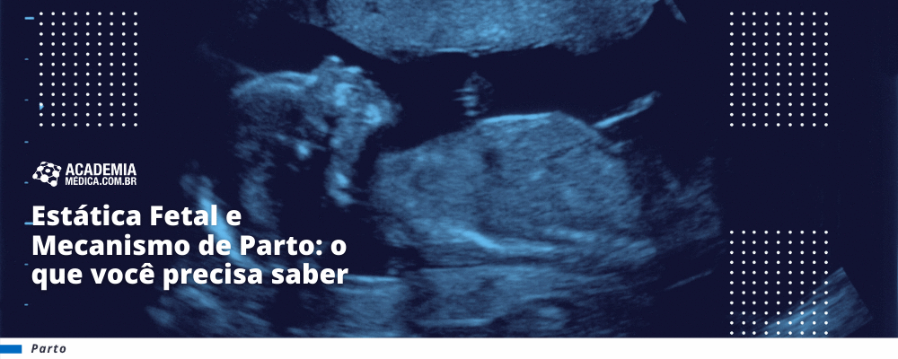 Estática Fetal e Mecanismo de Parto: o que você precisa saber ...